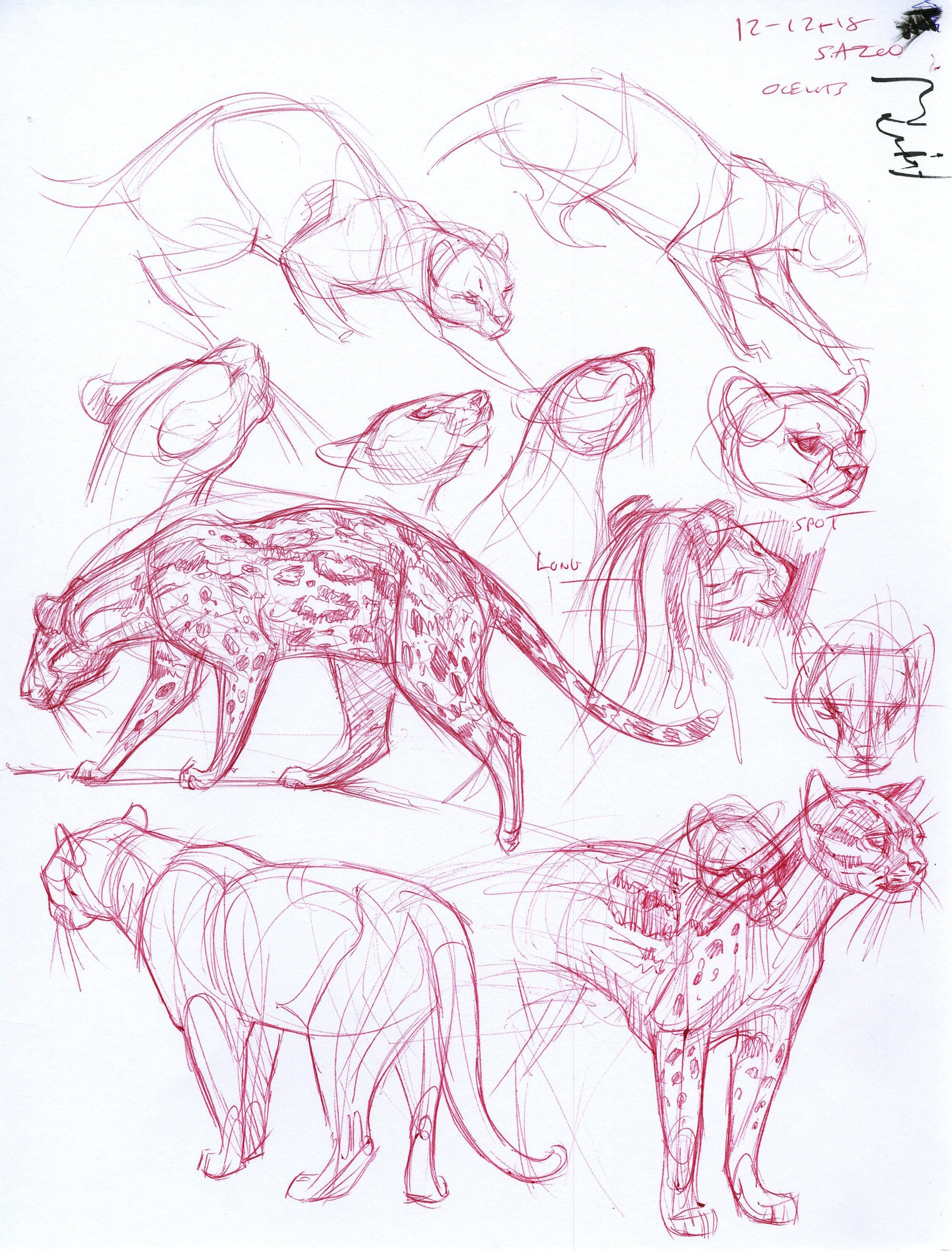 Ocelots ORIGINAL DRAWING - Etsy