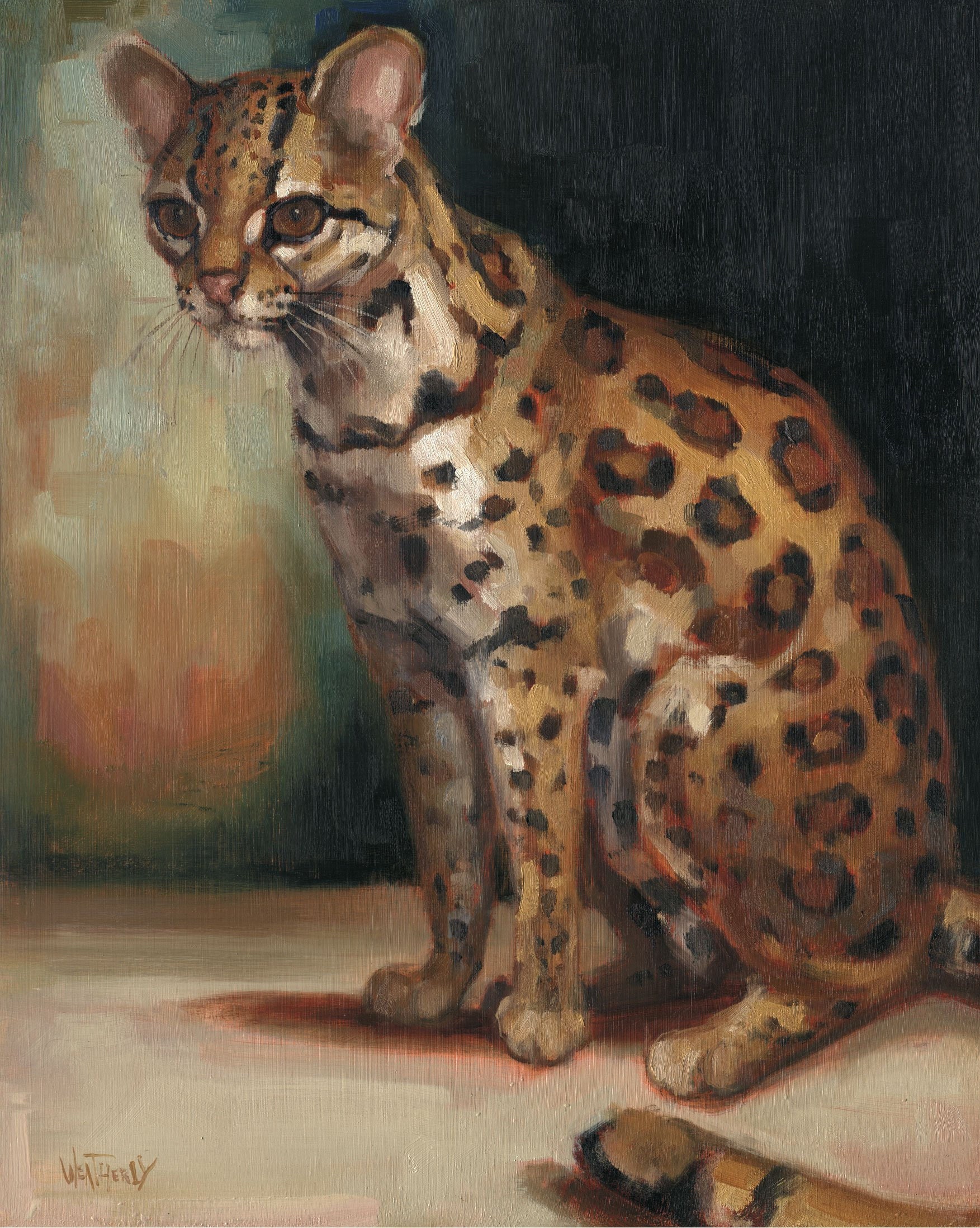GATO PINTADO Fine Art Print - Etsy