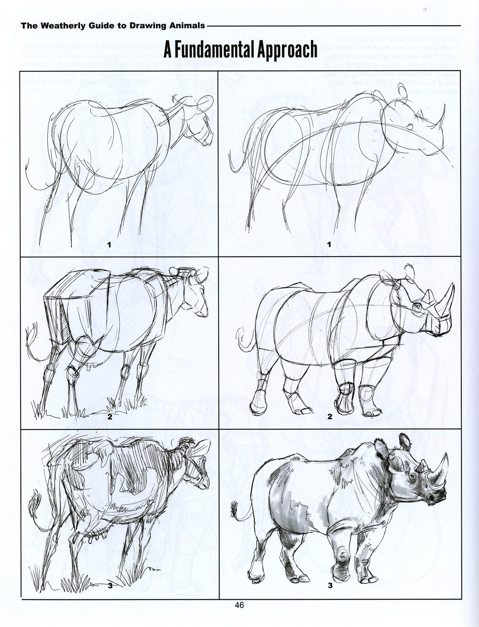 The Weatherly Guide to Drawing Animals - Etsy