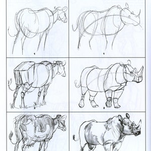 The Weatherly Guide to Drawing Animals - Etsy
