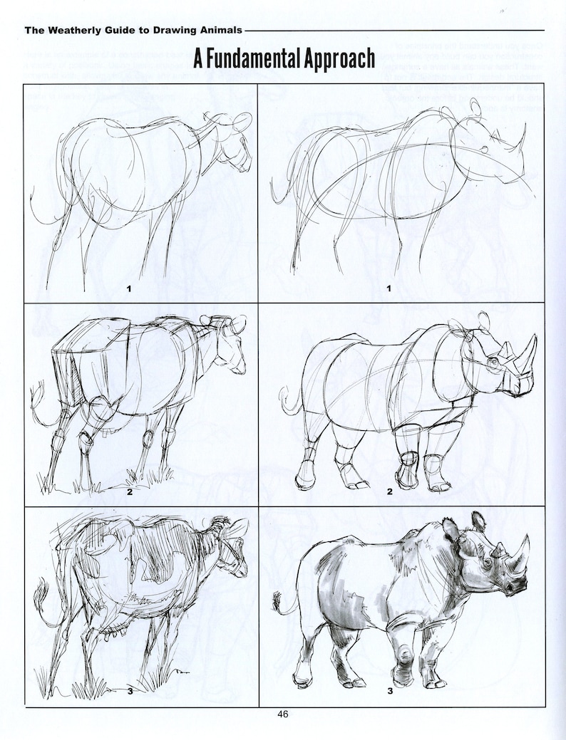 The Weatherly Guide to Drawing Animals - Etsy Canada