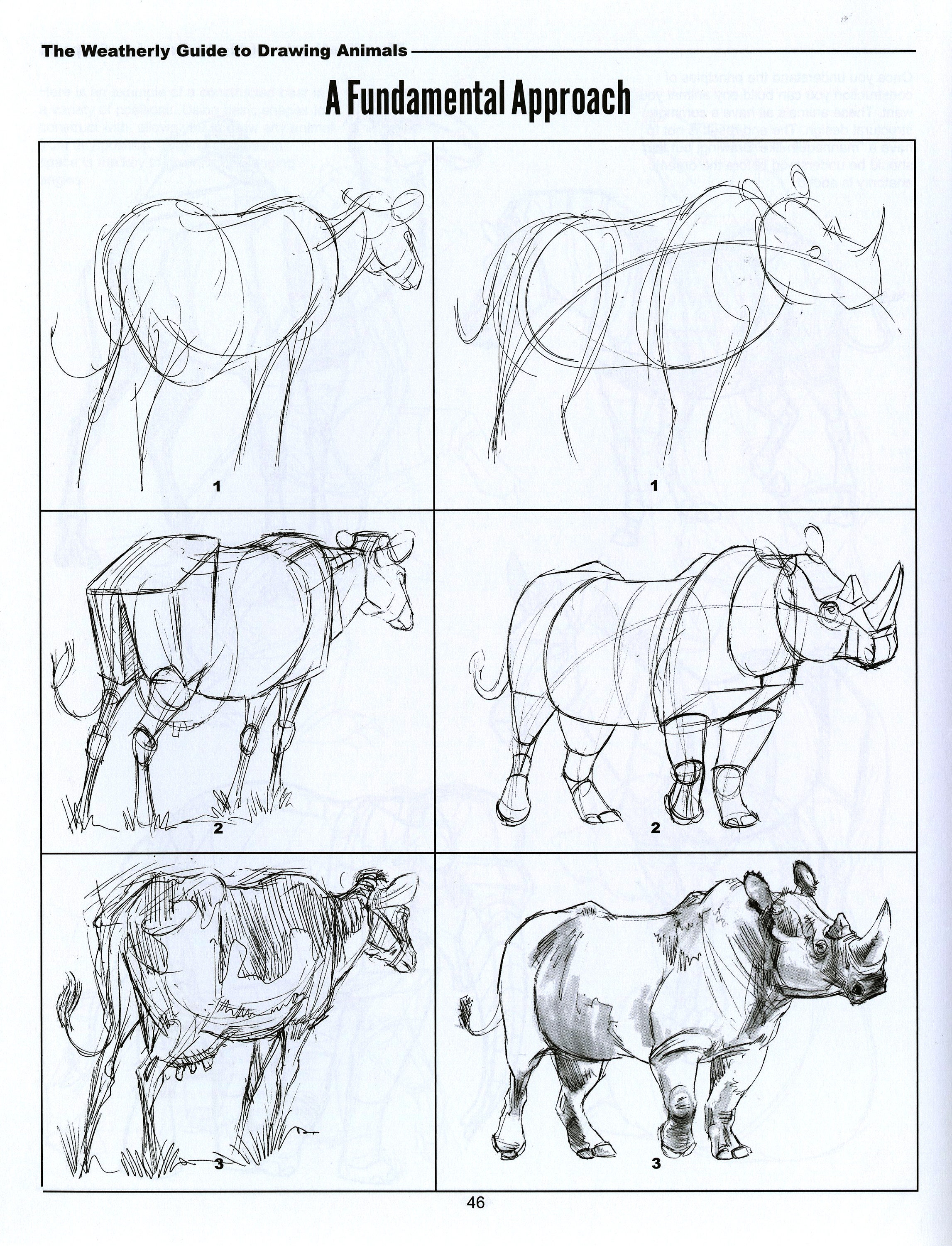 The Weatherly Guide to Drawing Animals - Etsy Canada