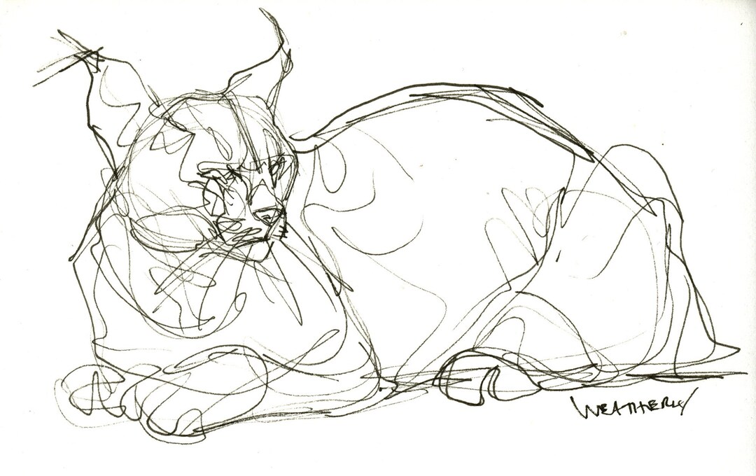 Caracal Gesture ORIGINAL DRAWING - Etsy