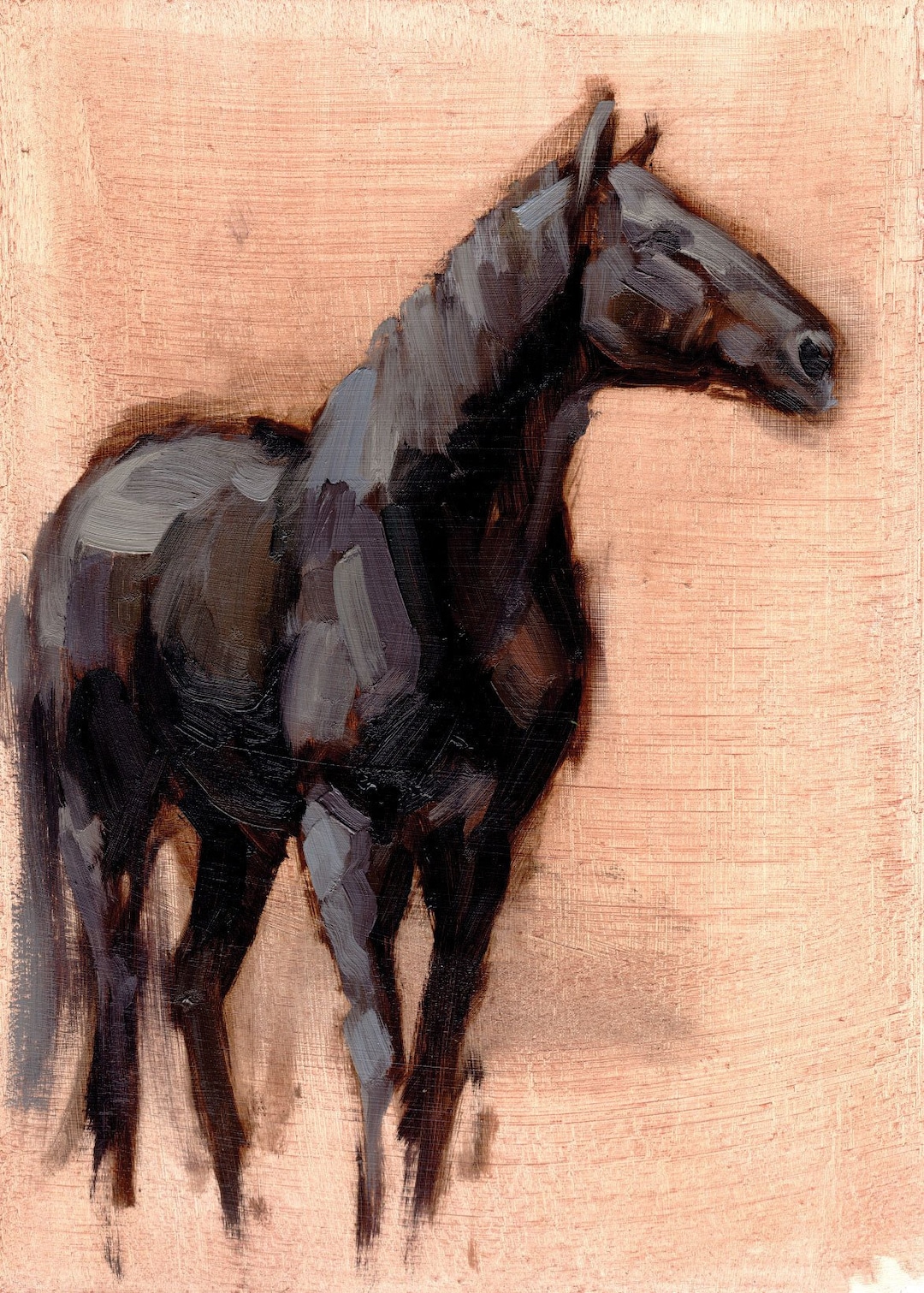 BLACK HORSE STUDY Fine Art Print - Etsy