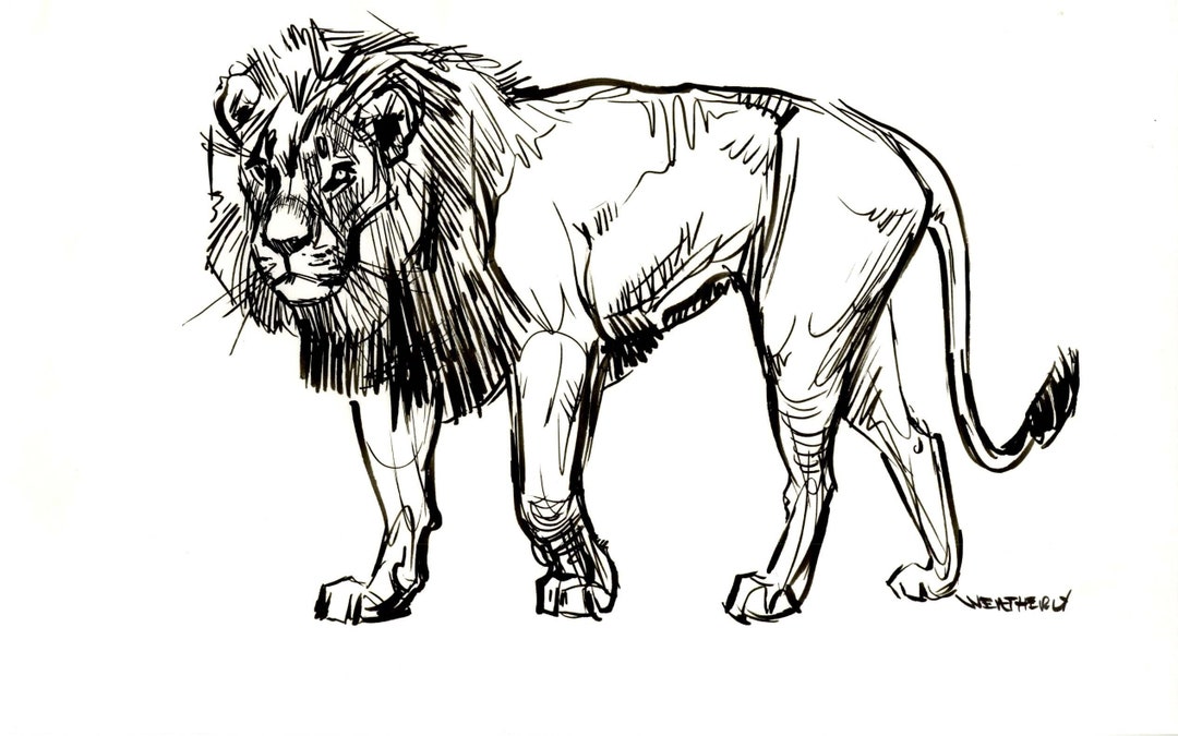 Lion Gesture 1 ORIGINAL DRAWING - Etsy