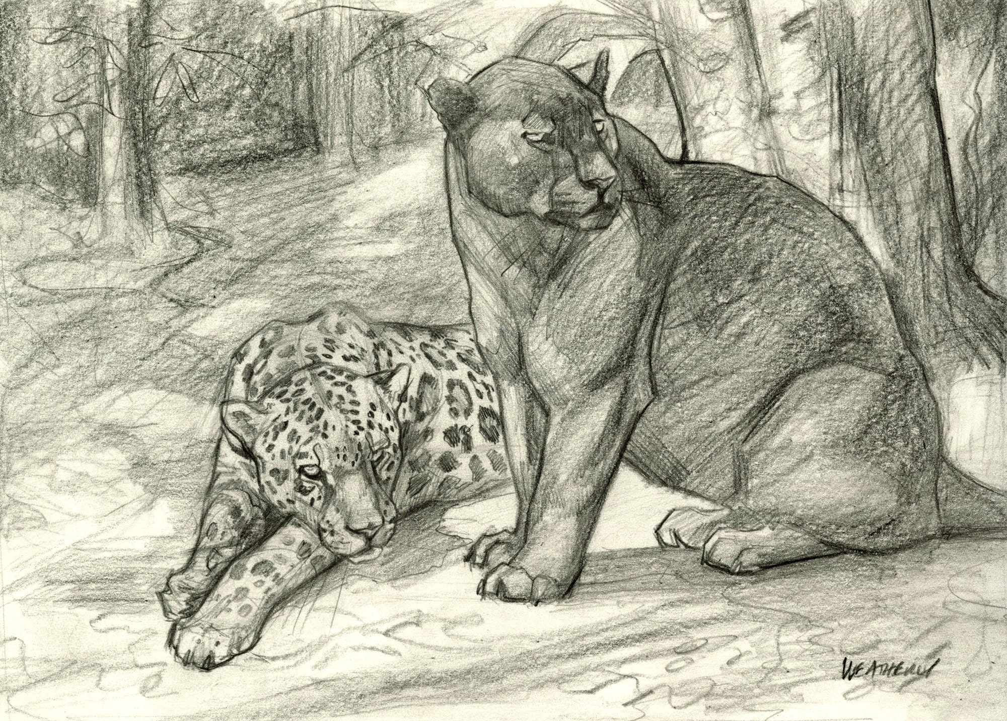 Cats of the Jungle ORIGINAL DRAWING - Etsy