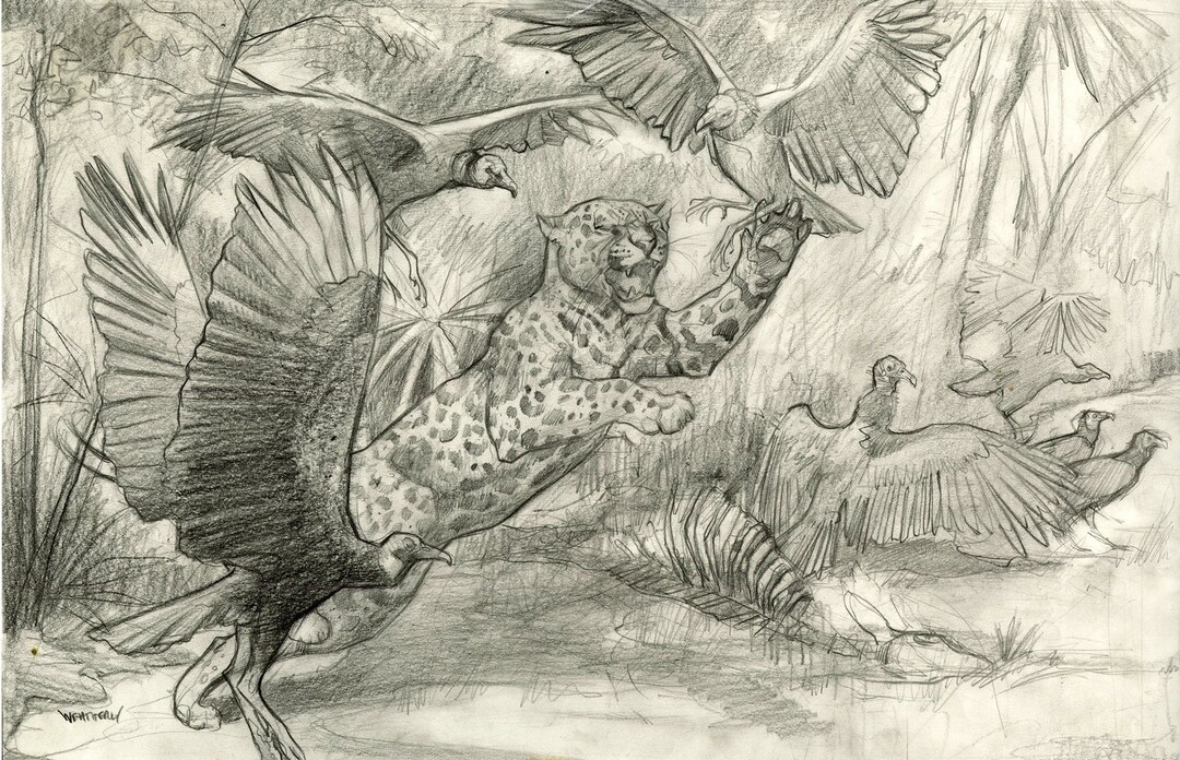 The Perils of Scavenging ORIGINAL DRAWING - Etsy