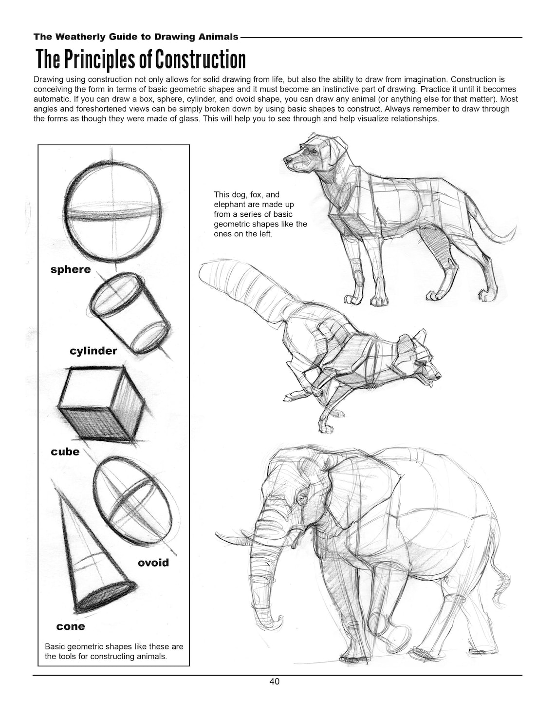 The Weatherly Guide to Drawing Animals | Etsy Canada