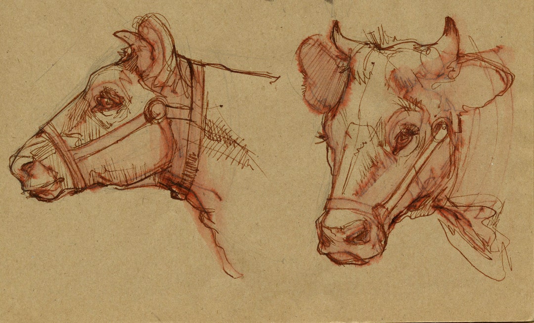 Cow Heads ORIGINAL DRAWING - Etsy