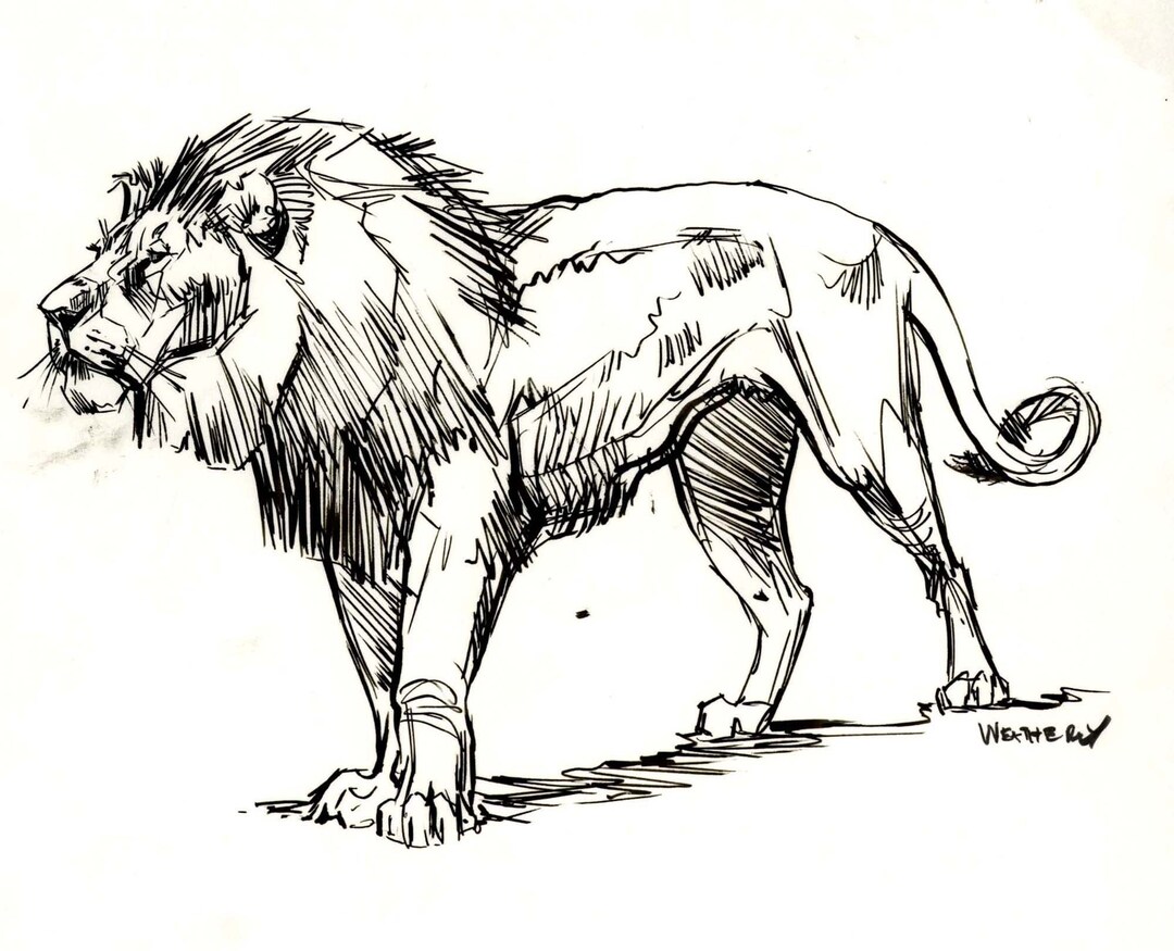 Lion Gesture 4 ORIGINAL DRAWING - Etsy