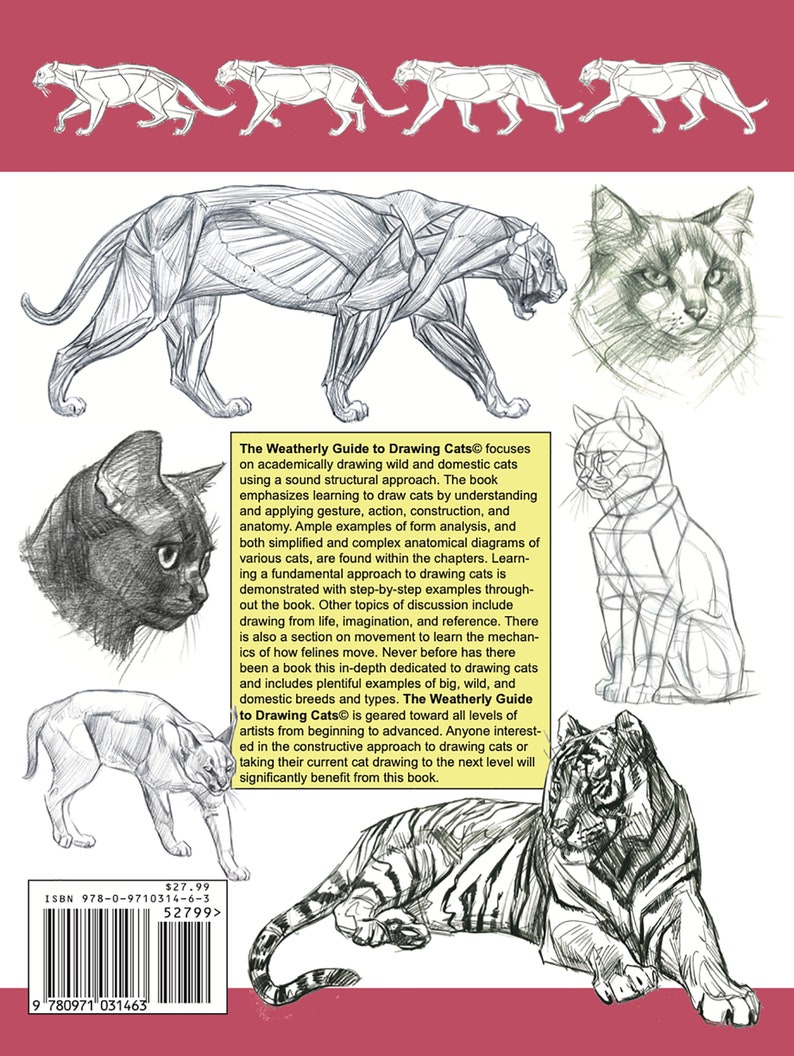 The Weatherly Guide to Drawing Cats - Etsy