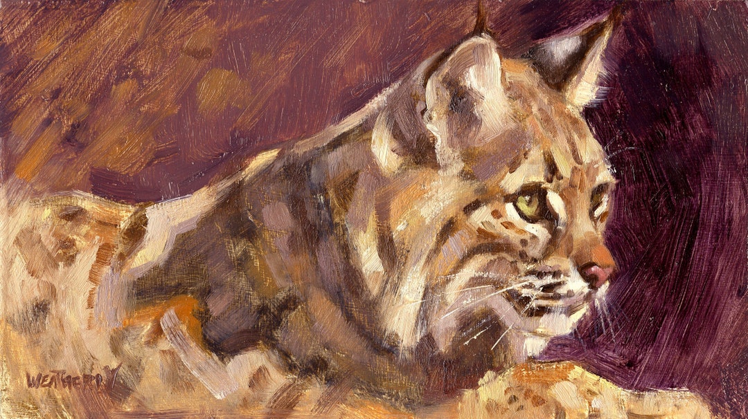 Texas Bobcat ORIGINAL OIL PAINTING - Etsy