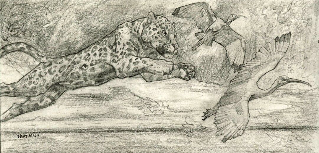 Lethal Leap ORIGINAL DRAWING - Etsy