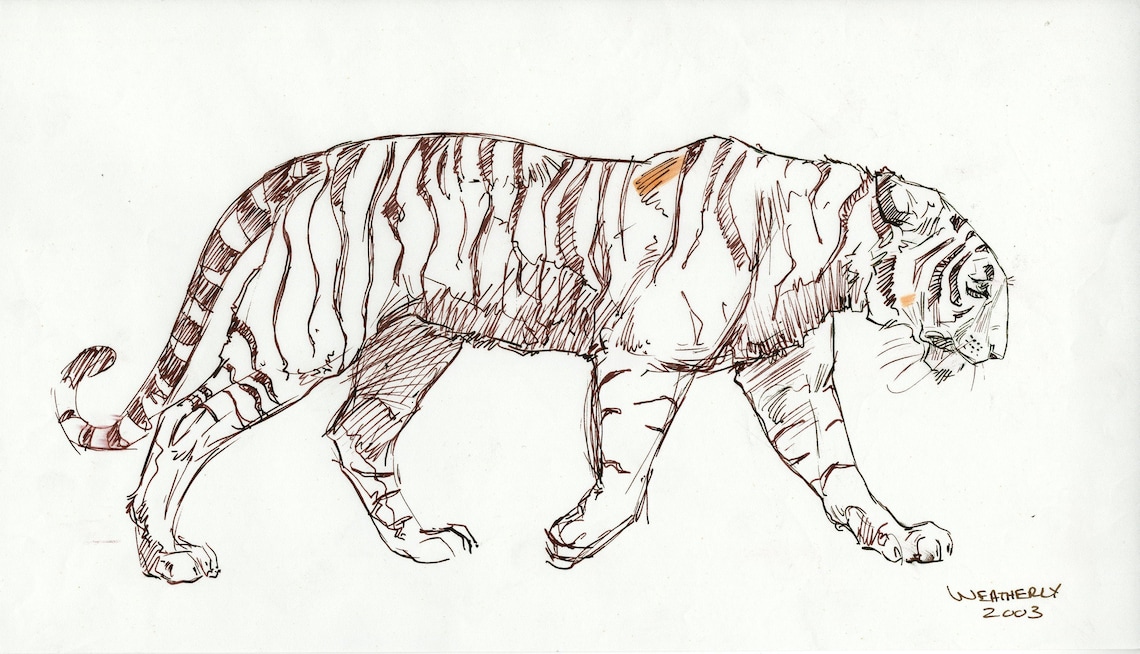 Walking Tiger ORIGINAL DRAWING - Etsy
