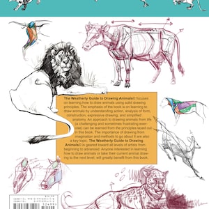The Weatherly Guide to Drawing Animals - Etsy