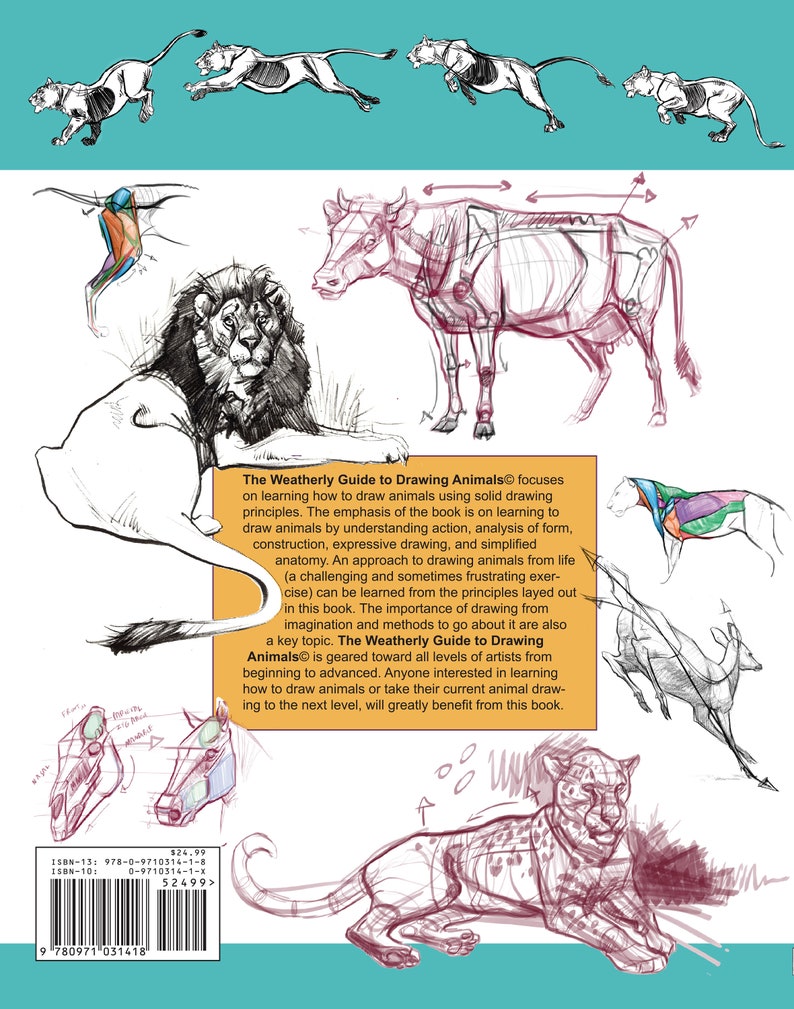 The Weatherly Guide to Drawing Animals - Etsy Canada