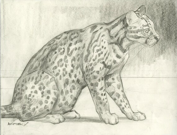 Ocelot ORIGINAL DRAWING - Etsy