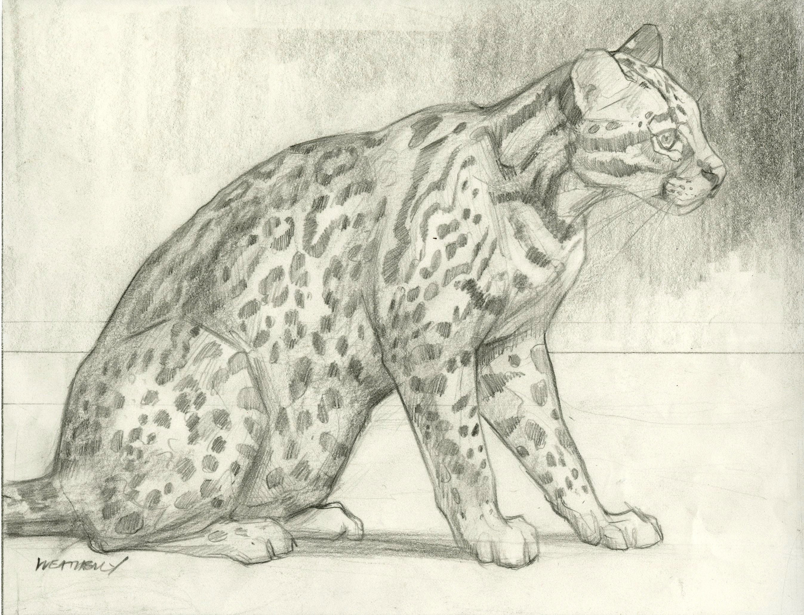 Ocelot ORIGINAL DRAWING - Etsy