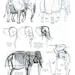 The Weatherly Guide to Drawing Animals - Etsy