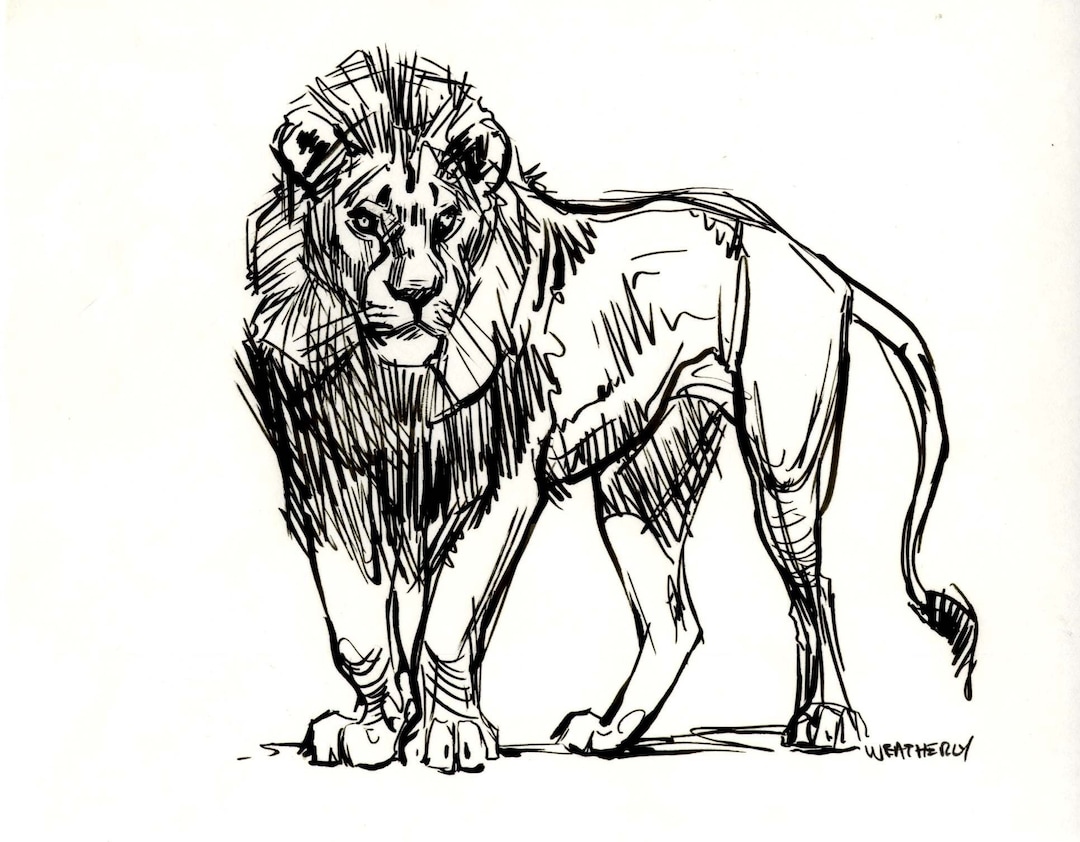 Lion Gesture 2 ORIGINAL DRAWING - Etsy