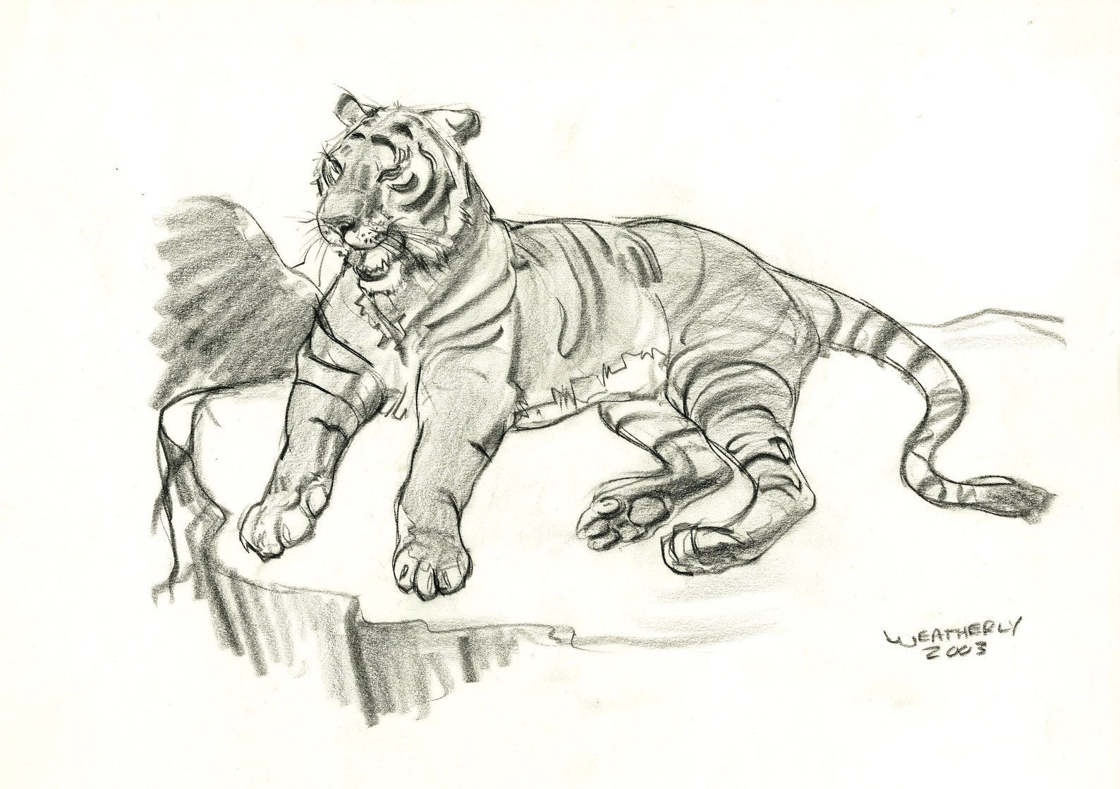 Resto de Sumatra Tiger ORIGINAL DRAWING - Etsy España