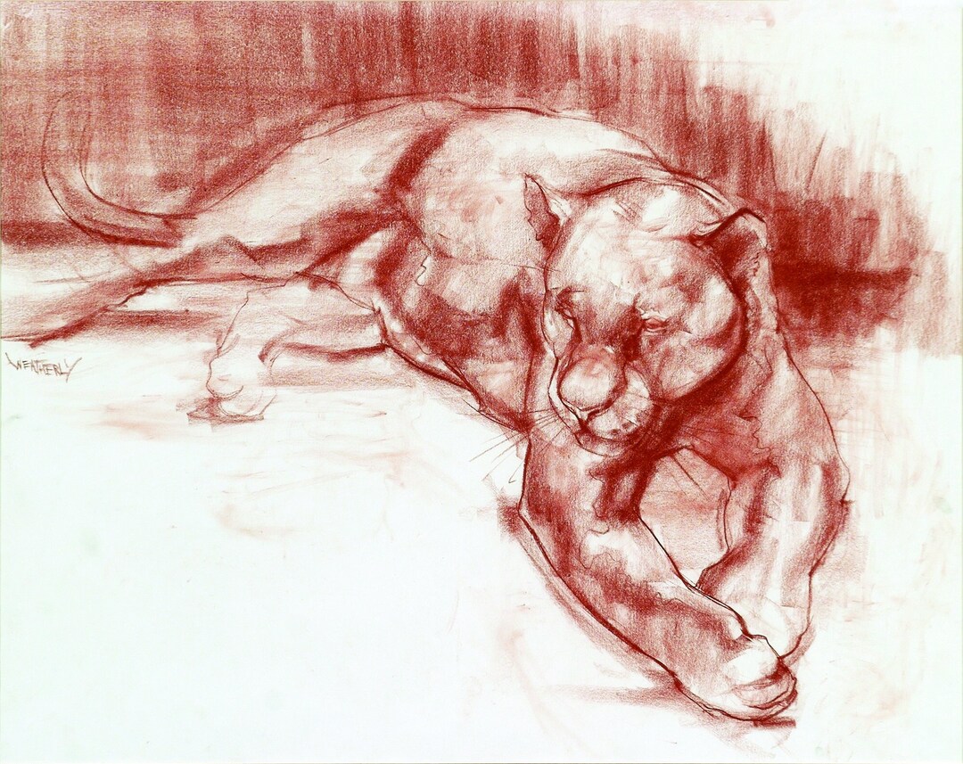 Basking ORIGINAL DRAWING - Etsy