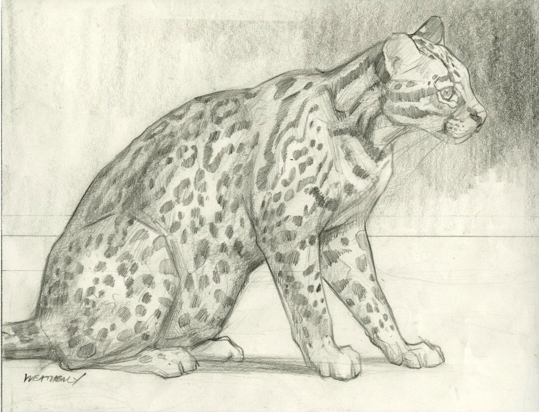 Ocelot ORIGINAL DRAWING - Etsy
