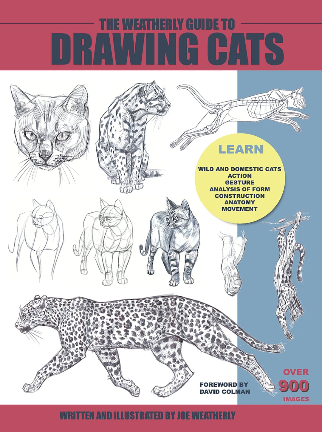 The Weatherly Guide to Drawing Cats - Etsy