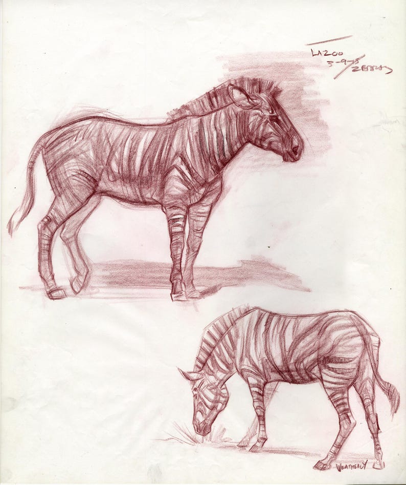 Zebras ORIGINAL DRAWING - Etsy