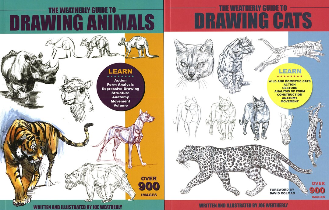 Drawing Animals & Drawing Cats BUNDLE - Etsy