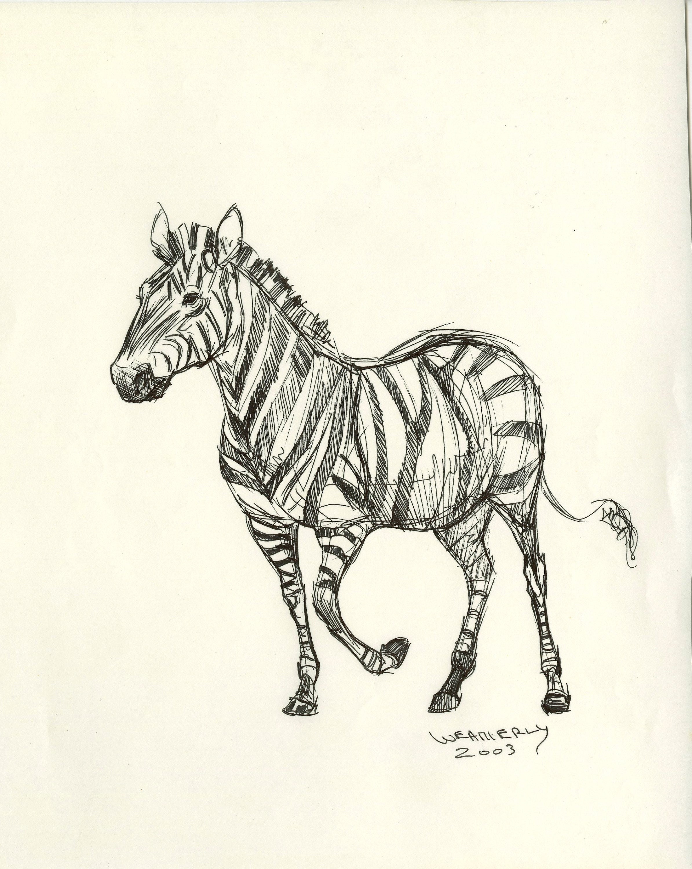 Zebra ORIGINAL DRAWING - Etsy