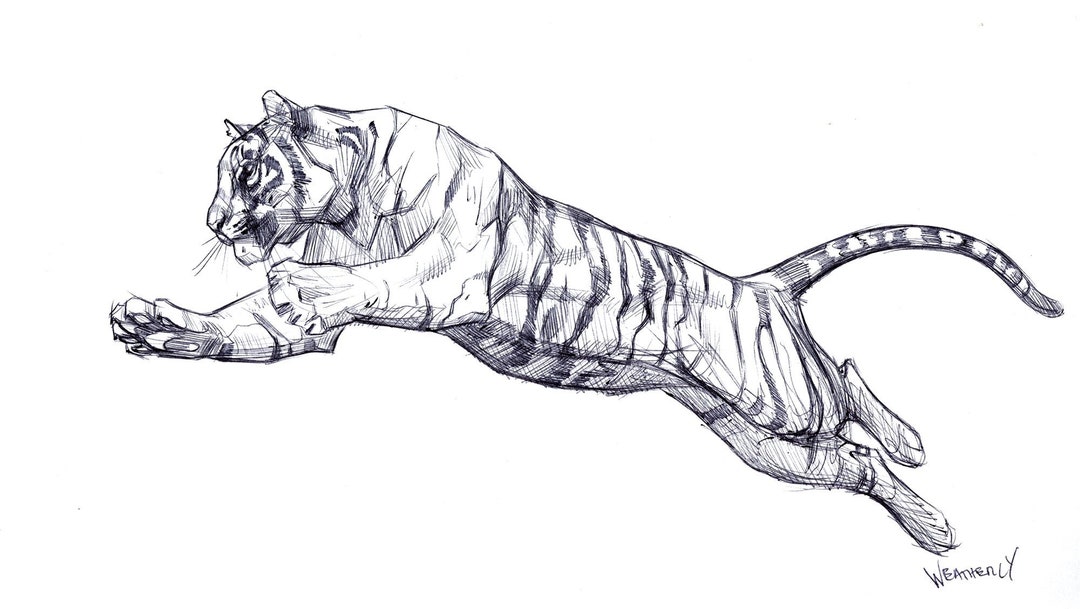 Leaping Tiger ORIGINAL DRAWING - Etsy