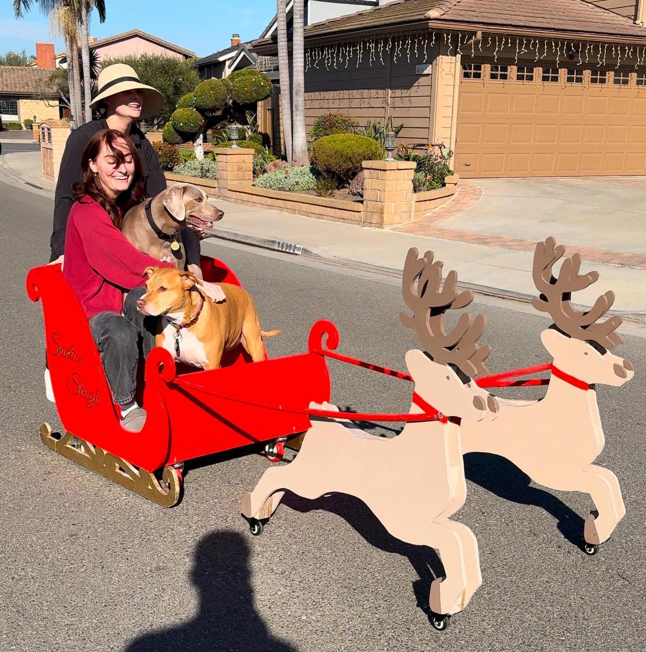 DIY Life-size Santa Sleigh & Reindeer Build Plans - PDF Digital ...