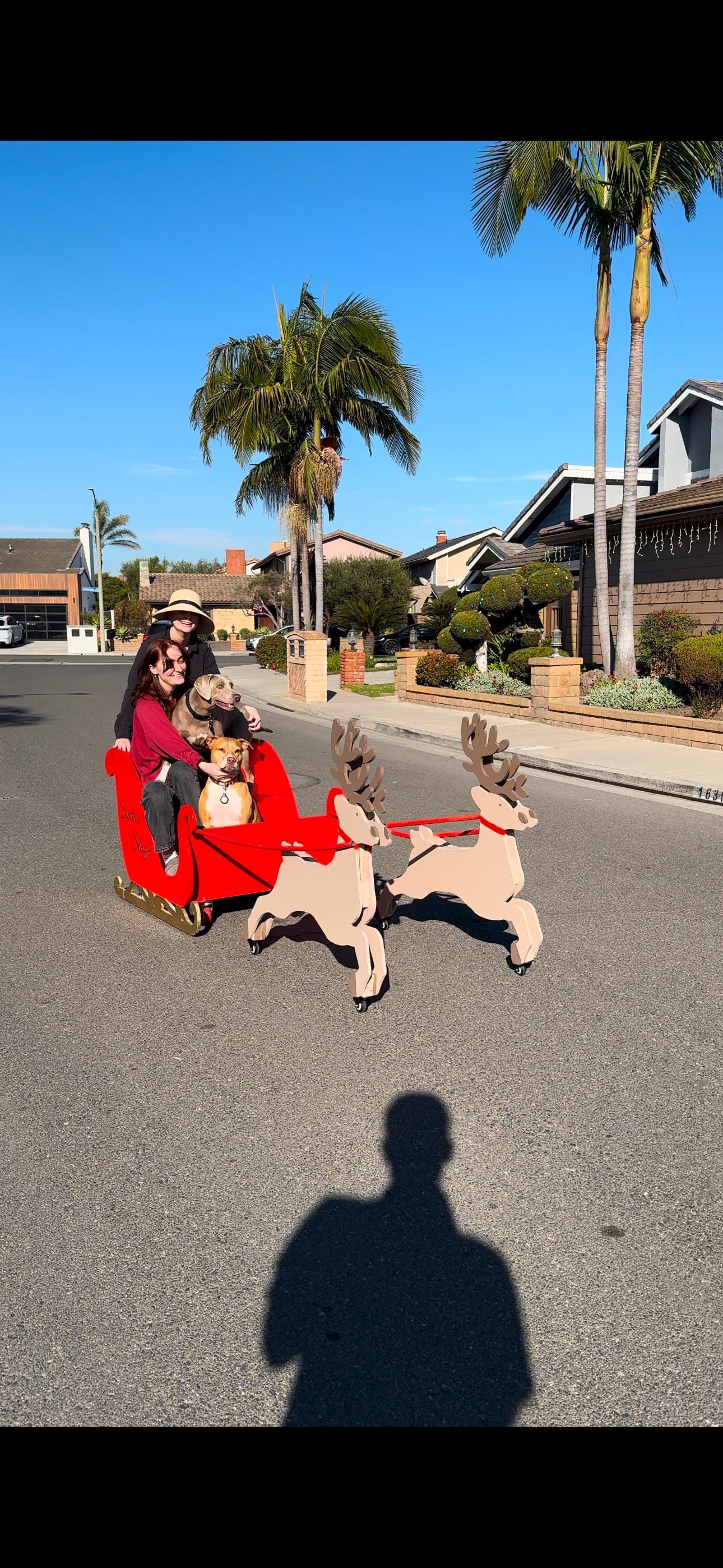 DIY Life-size Santa Sleigh & Reindeer Build Plans - PDF Digital ...