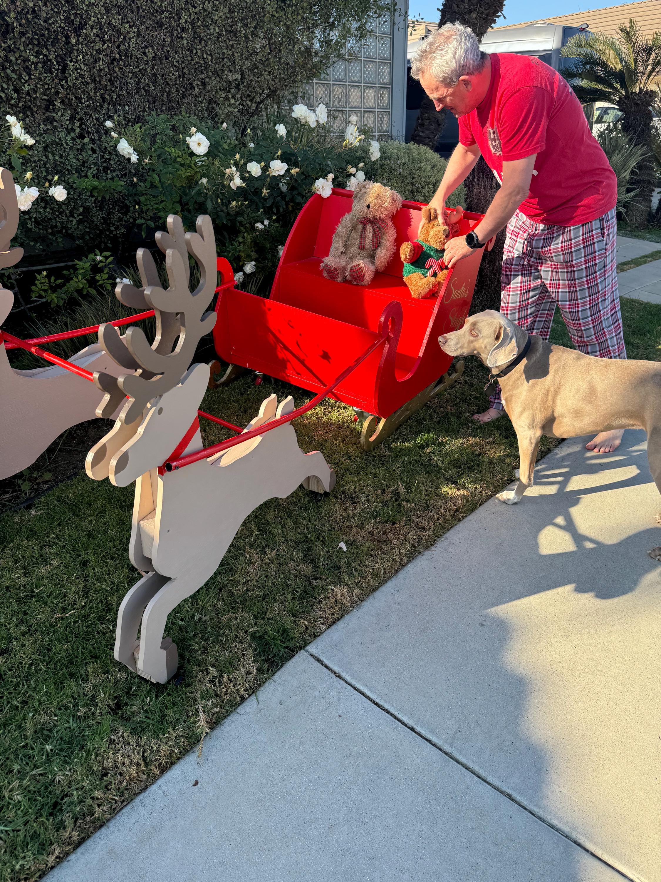 DIY Rolling Christmas Reindeer Build Plans - PDF Download - Etsy