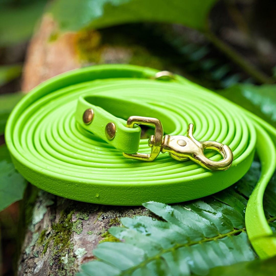 Waterproof Biothane Long Line Drag Leash 5/8ths Width - Etsy