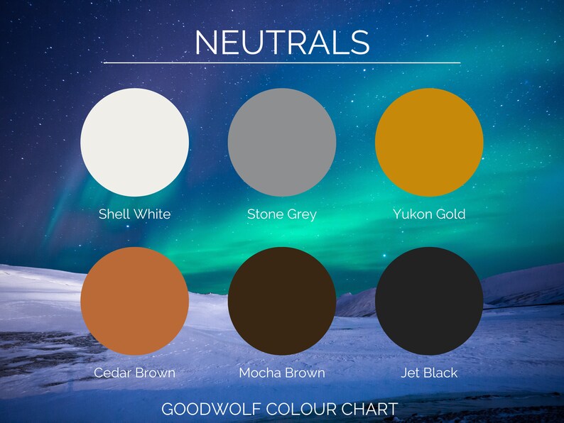 Waterproof Two Tone Dog Leash - Etsy Canada