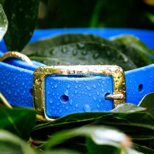 Waterproof Dog Collar in Pacific Blue - Etsy Canada