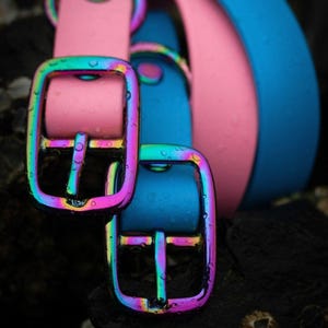 Two Classic Buckle Collars Package - Etsy