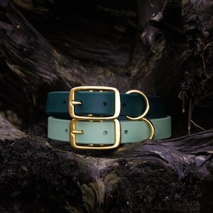 Two Classic Buckle Collars Package - Etsy