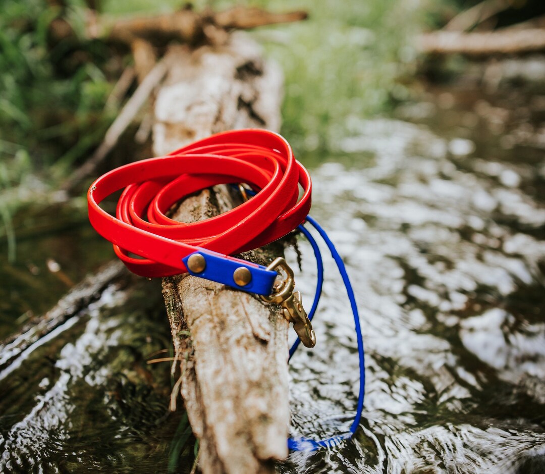 Two Tone Waterproof Biothane Long Line Drag Leash - Etsy