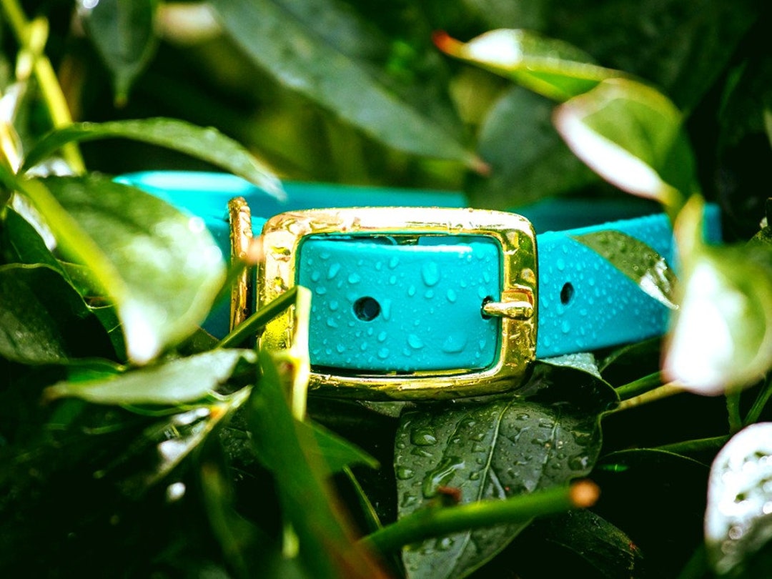 Waterproof Dog Collar in Teal Blue Surf - Etsy Canada