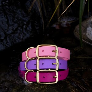 Two Classic Buckle Collars Package - Etsy