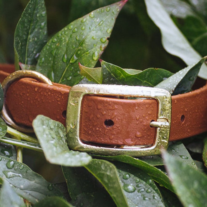 Human Collars - Etsy