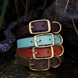 Two Classic Buckle Collars Package - Etsy