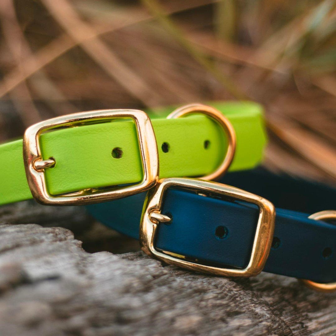 Two Classic Buckle Collars Package - Etsy