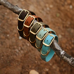 Two Classic Buckle Collars Package - Etsy