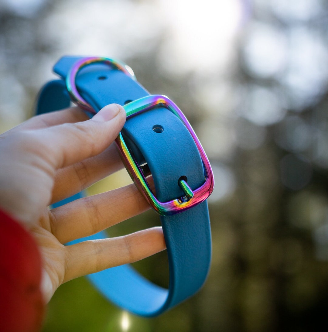 Waterproof Dog Collar in Pacific Blue - Etsy Canada