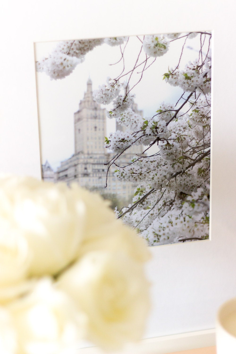 Springtime in New York // Central Park Fine Art Photography Print, New ...