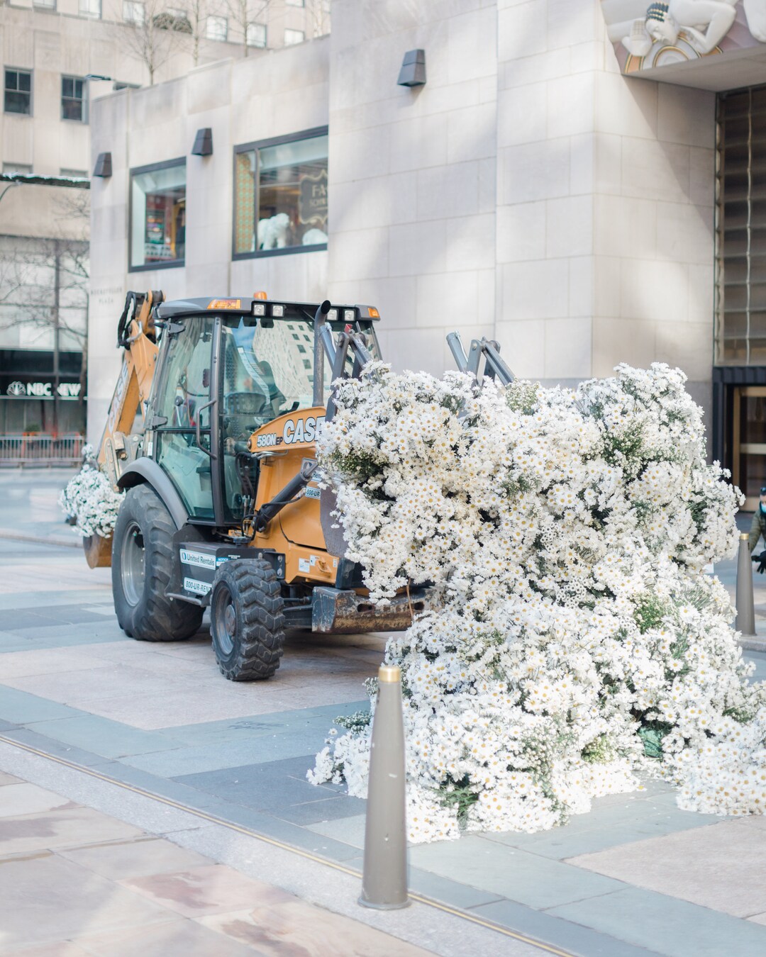 Lewis Miller Flower Flash New York City Rockefeller Center // NYC Art ...